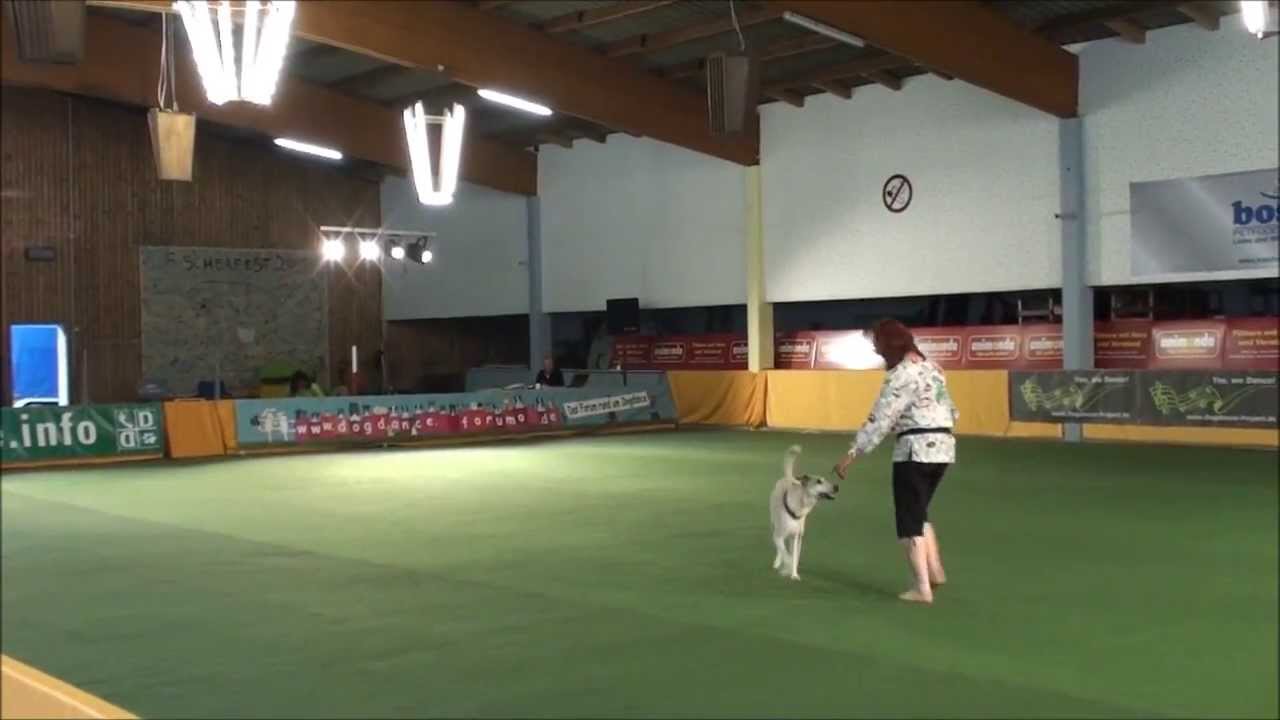 Dogdance-Cup Altrip 2013 - Stephanie Claßen und Kira - Fun Open - YouTube