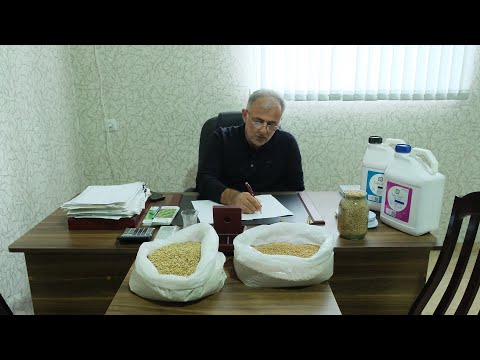 TAXIL TOXUMUNUN DƏRMANLANMASI