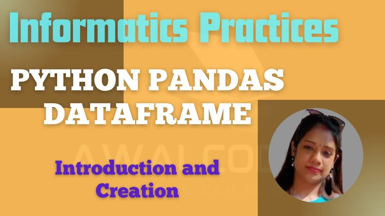 Informatics Practices Python Pandas Dataframe Part 1 Class 12 6519