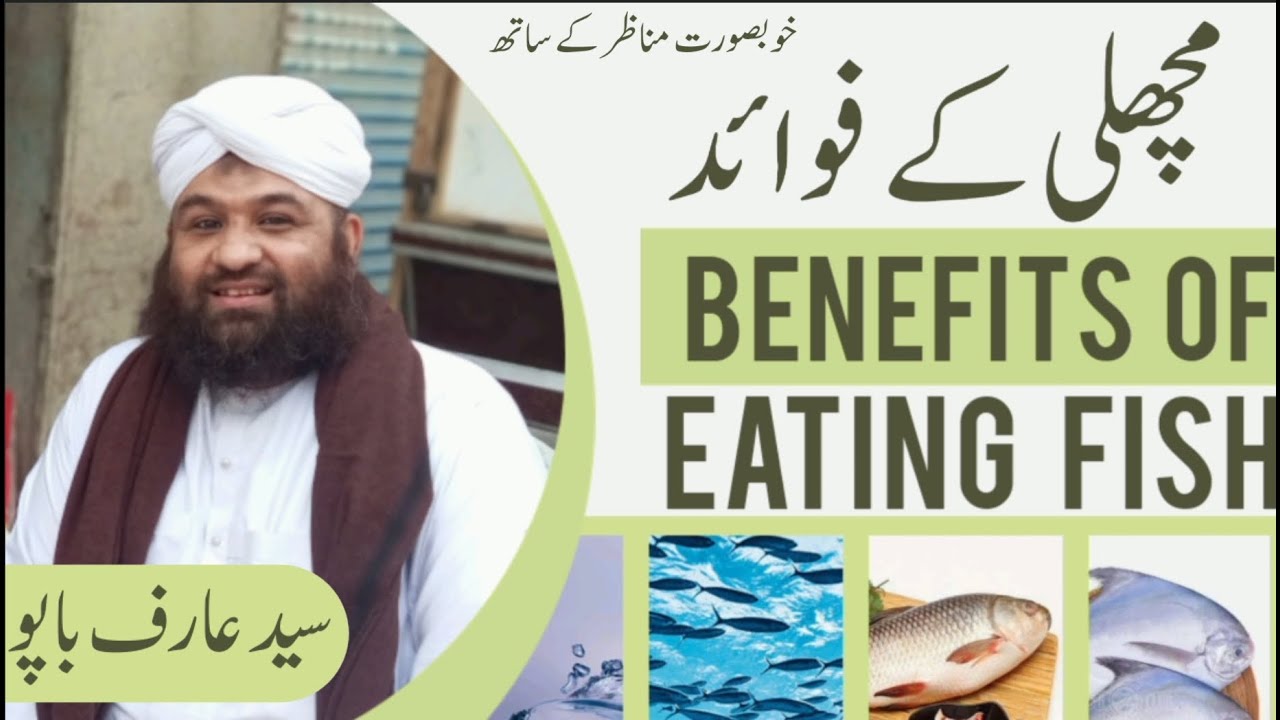 Benefits Of Eating Fish | Syed Arif Bapu | Islamic Vids - YouTube