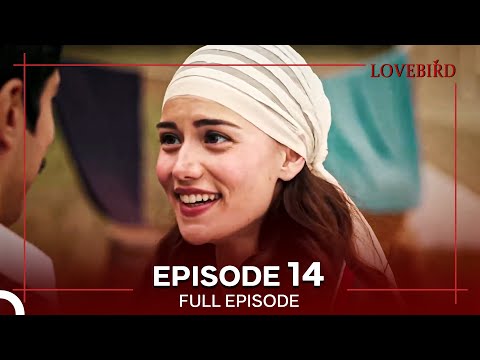 Lovebird Episode 14