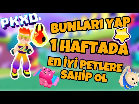 Bunları yap en iyi petlere sahip ol pet hilesi de var