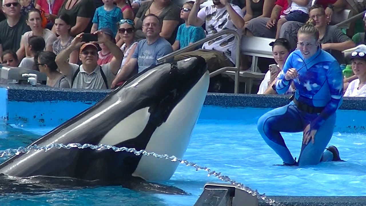One Ocean (Full Show) August 15, 2019 - SeaWorld Orlando - YouTube
