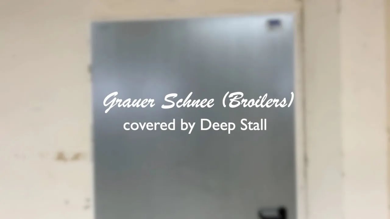 Grauer Schnee (Broilers) - covered by Deep Stall - YouTube