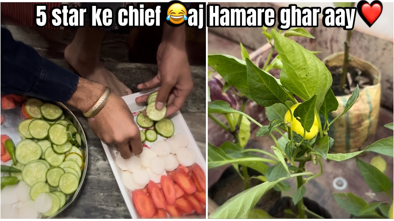 #chief #5star #pahadiboyvlog #funnyvlog 😂 @hemuvlogs222 welcome back to ...