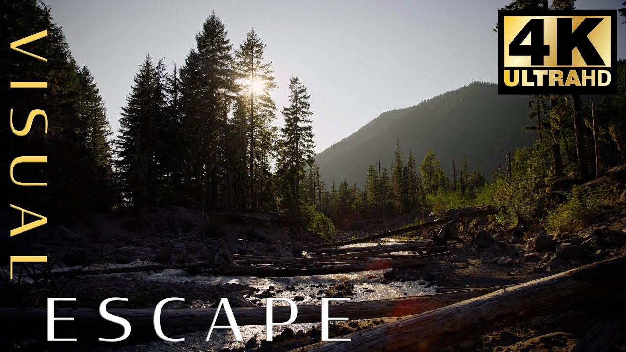 Perfect Sunset with river: Sounds and view. 7 hours in 4K (Ultra HD) 🌲 ...