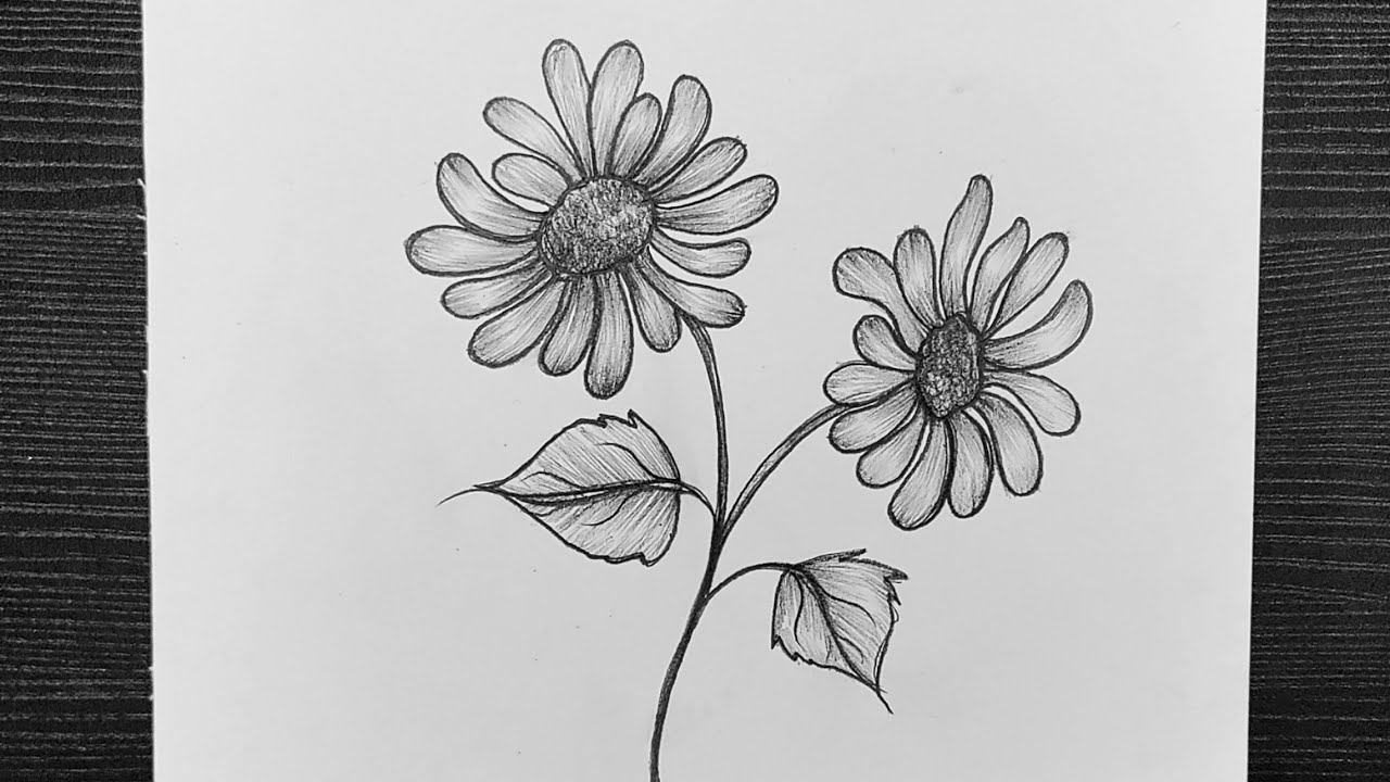 Beautiful Flower Drawing // How To Draw A Beautiful Flower // Pencil ...