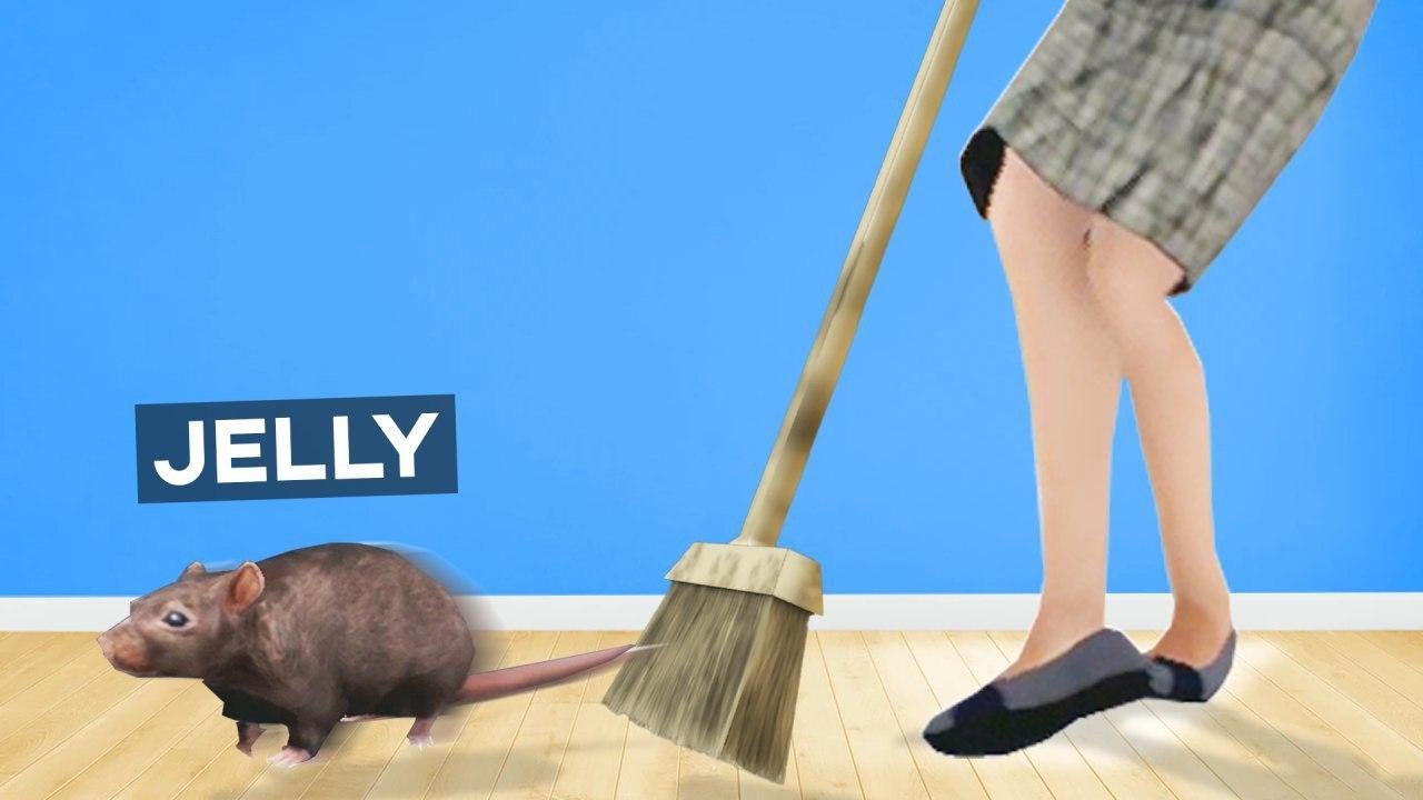 CATCH The RAT OR LOSE The GAME! (Slap The Fly) - YouTube