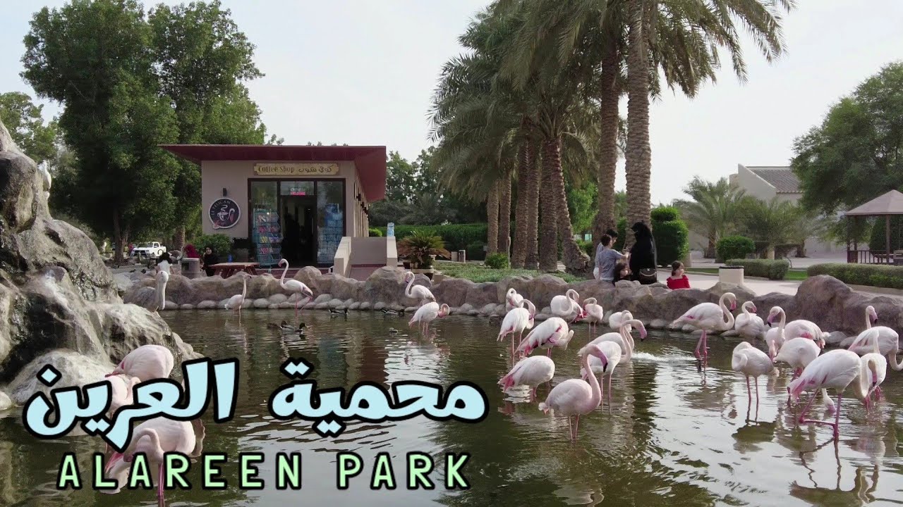 محمية العرين | AlAreen Wildlife Park - Bahrain - YouTube