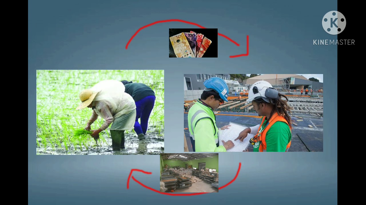 How economics work in our daily life? - YouTube