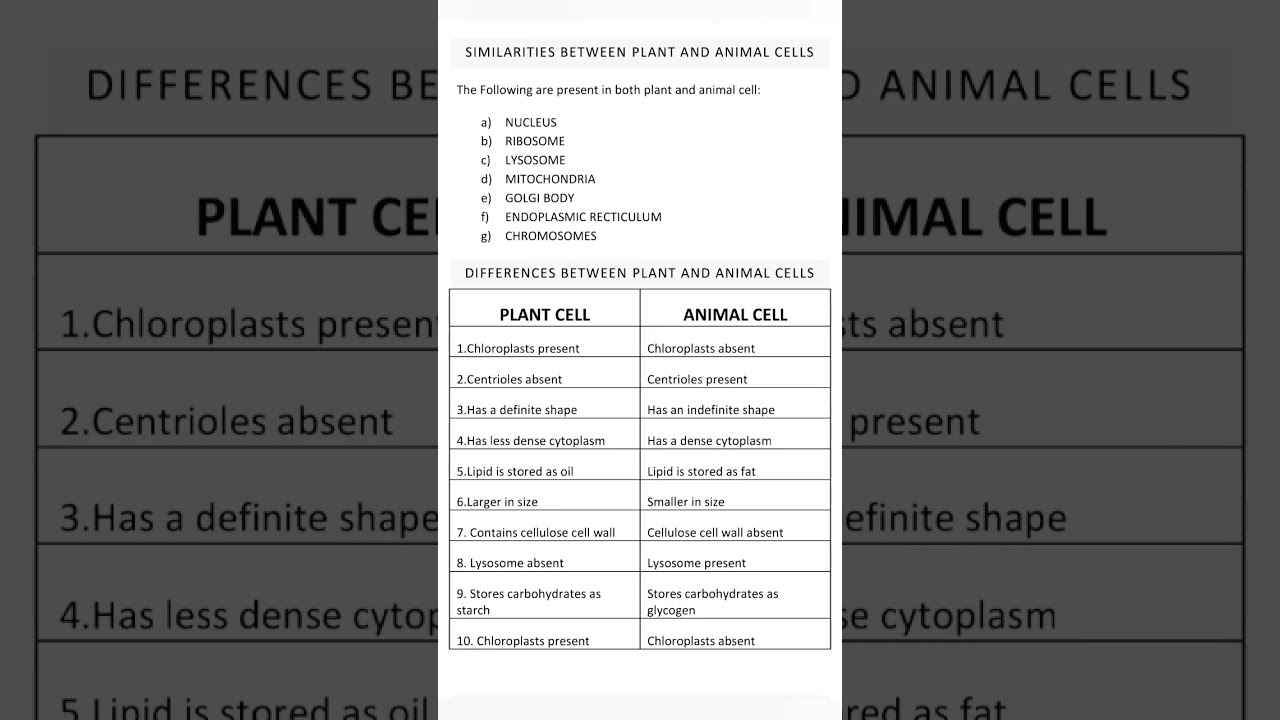 Animal vs Plant Cells: 4 Mind-Blowing Similarities Unveiled ...