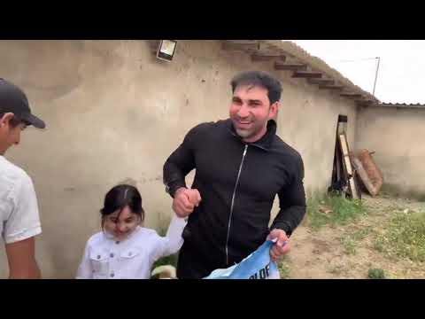 Kamil Zeynallı - Heyvanları sevək və qoruyaq