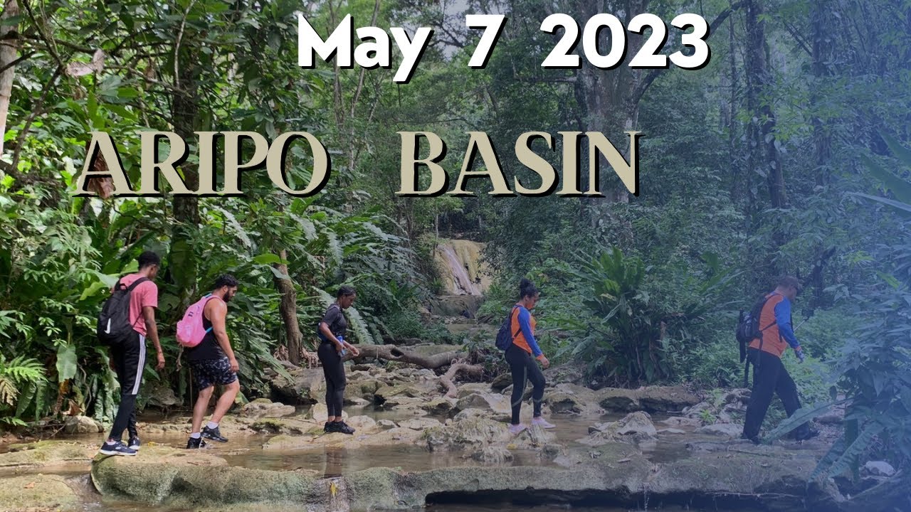 Aripo Basin | The gem of a waterfall/pool limestone formation! - YouTube