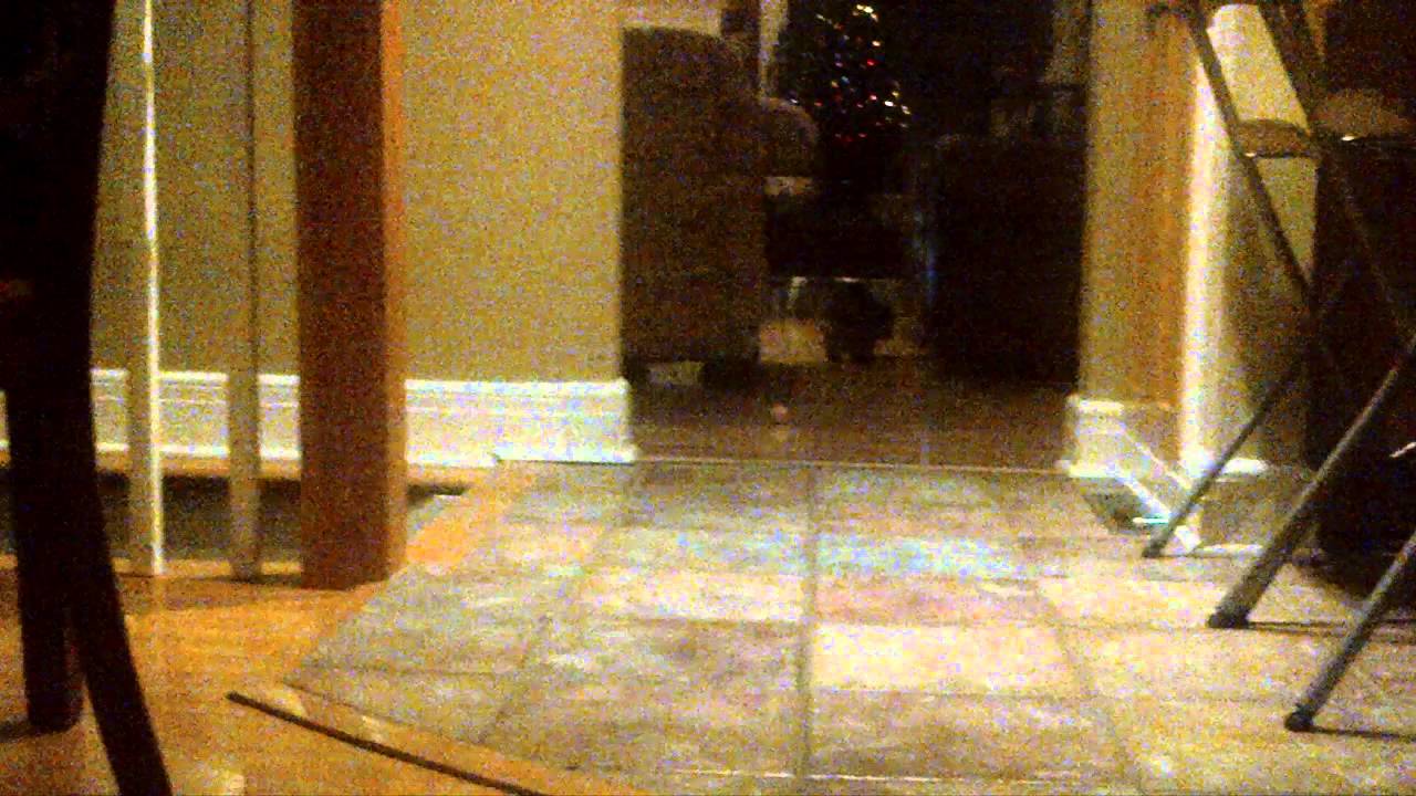 Sit Ubu Sit-Good Dog.....Ooops I mean Cat - YouTube