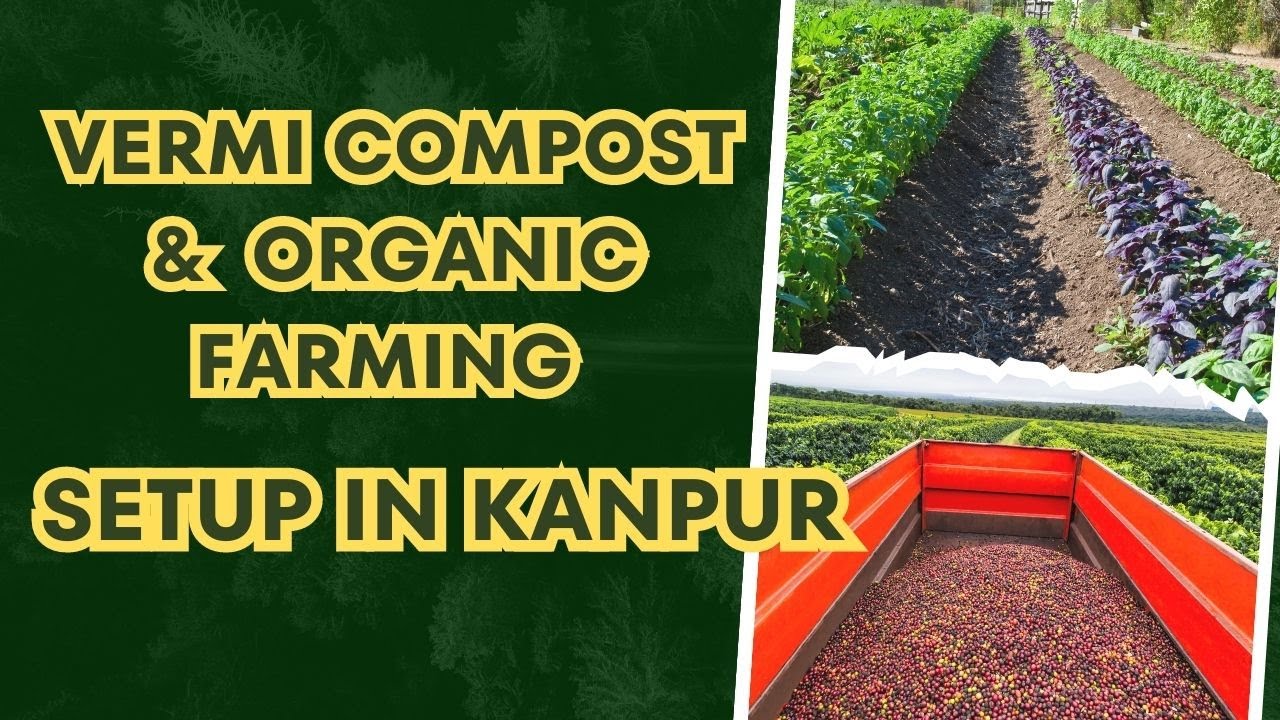 Vermi Compost and Organic Farming Setup in Kanpur | #farming # ...