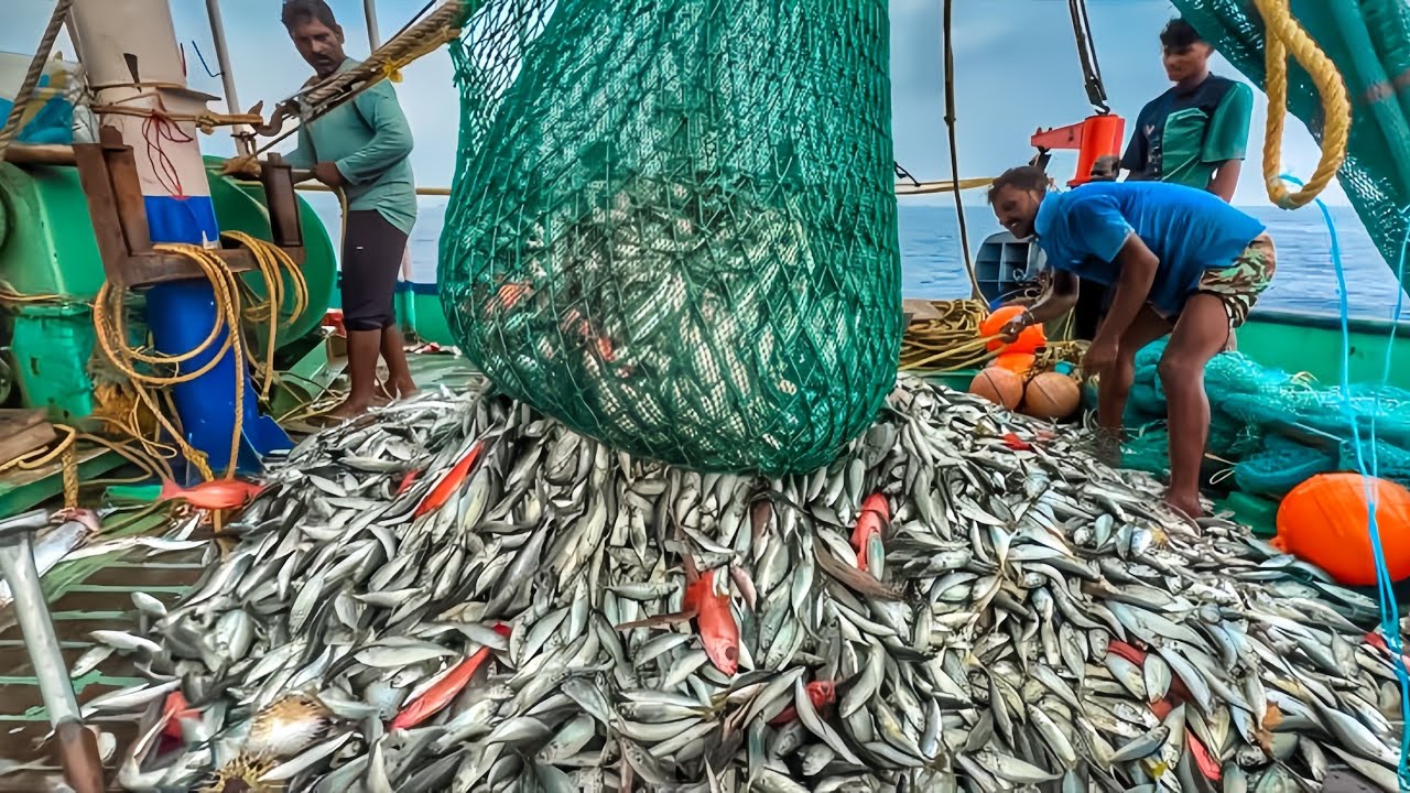 WOW🤩| Kollam boat | Day 1 EP :1 | We Caught Lot of Variety Fishes|Lunch ...