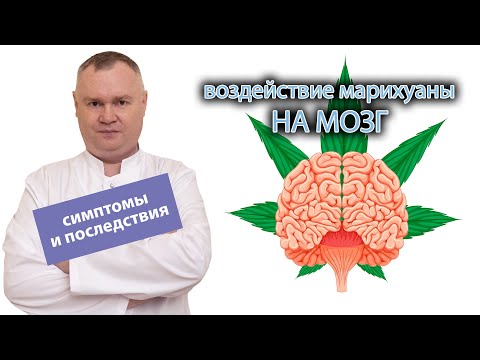 🧠Воздействие марихуаны на мозг — симптомы и последствия👨‍⚕️
