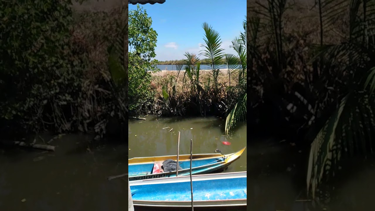 Ilog lubao - YouTube