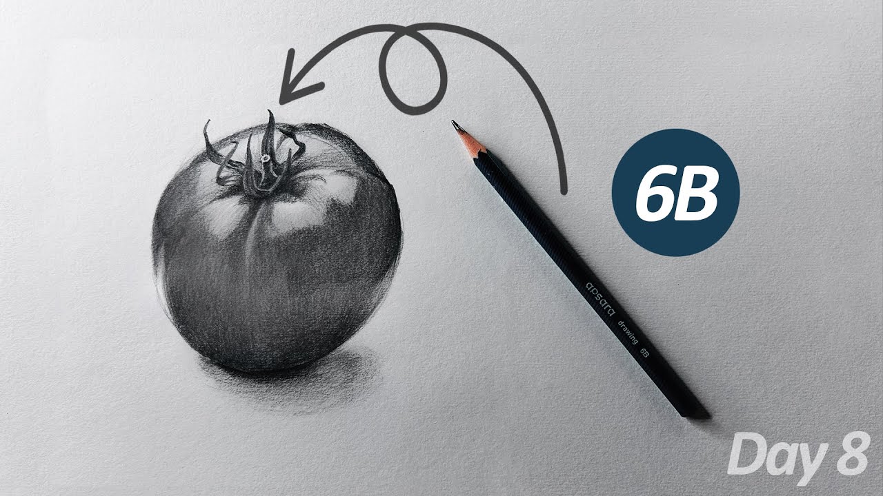 Drawing with Single Pencil | Basic Fundamentals of Drawing for ...