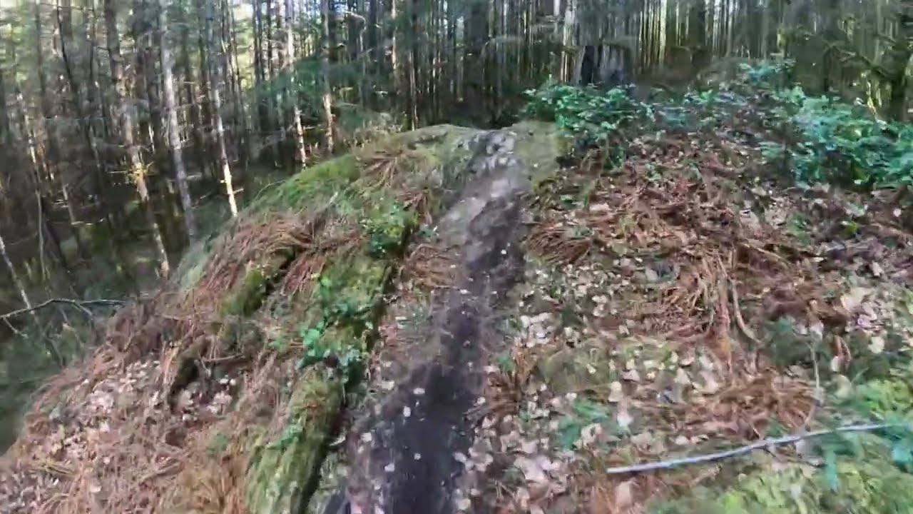 Smackdown (upper) at Pilchuck Tree Farm - YouTube