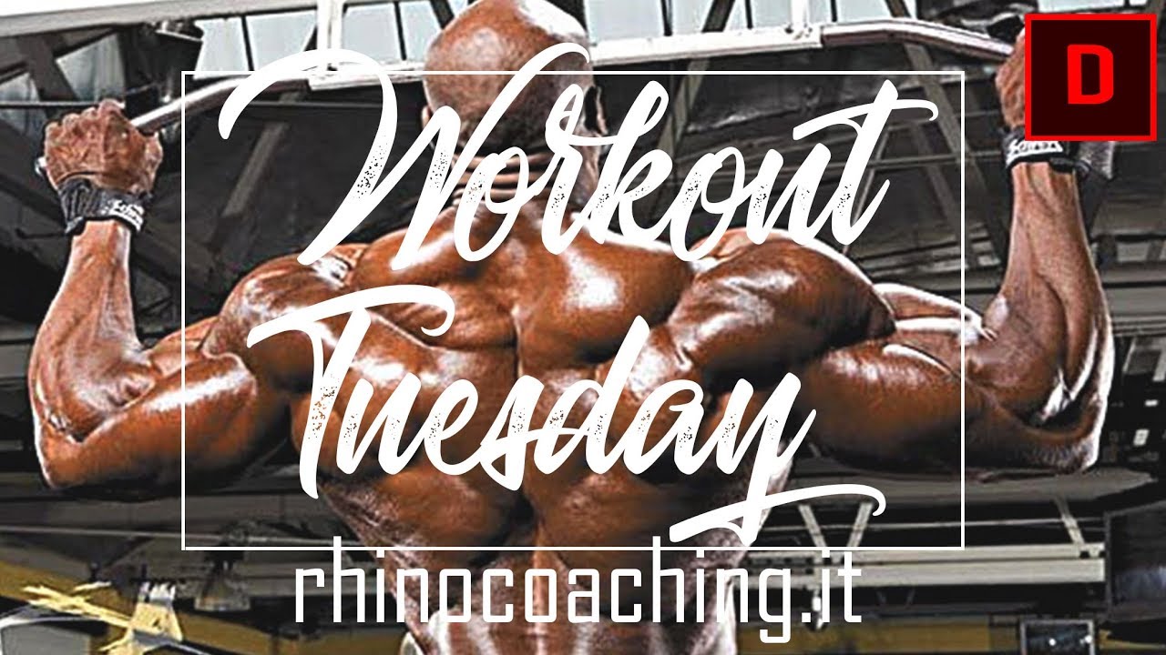 Workout Tuesday #23 | Back Week - YouTube