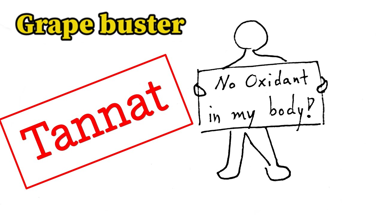 Grape Buster 5. Tannat | YOU wanna LIVE LONG? DRINK TANNAT! - YouTube