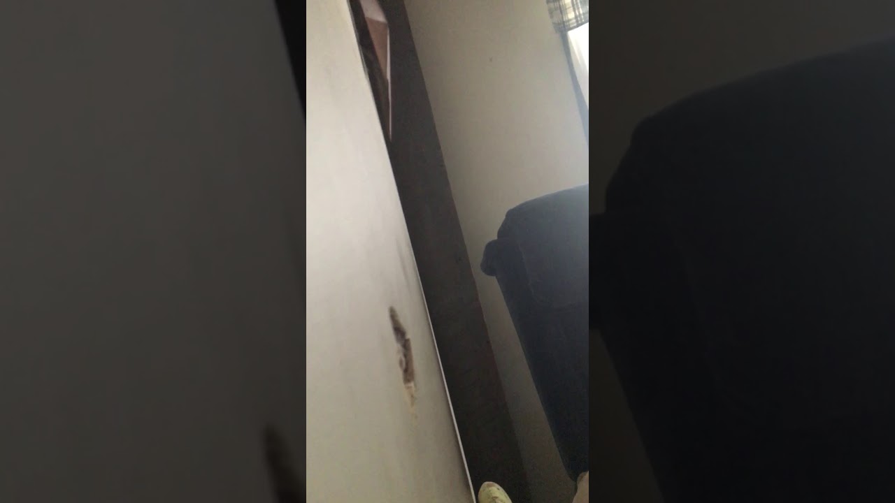 Spying On My Brothers Youtube