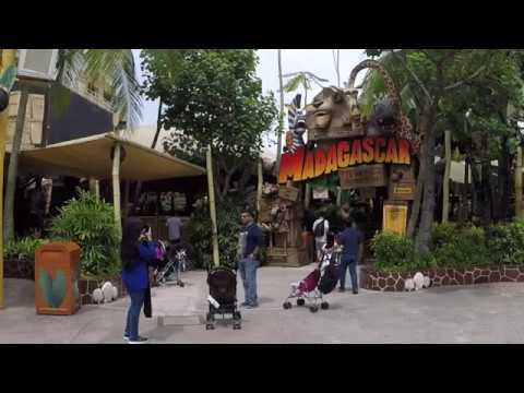 madagascar - a crate adventure