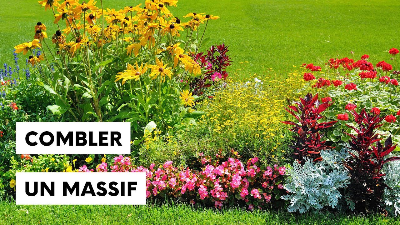 Comment combler un massif floral en été - YouTube
