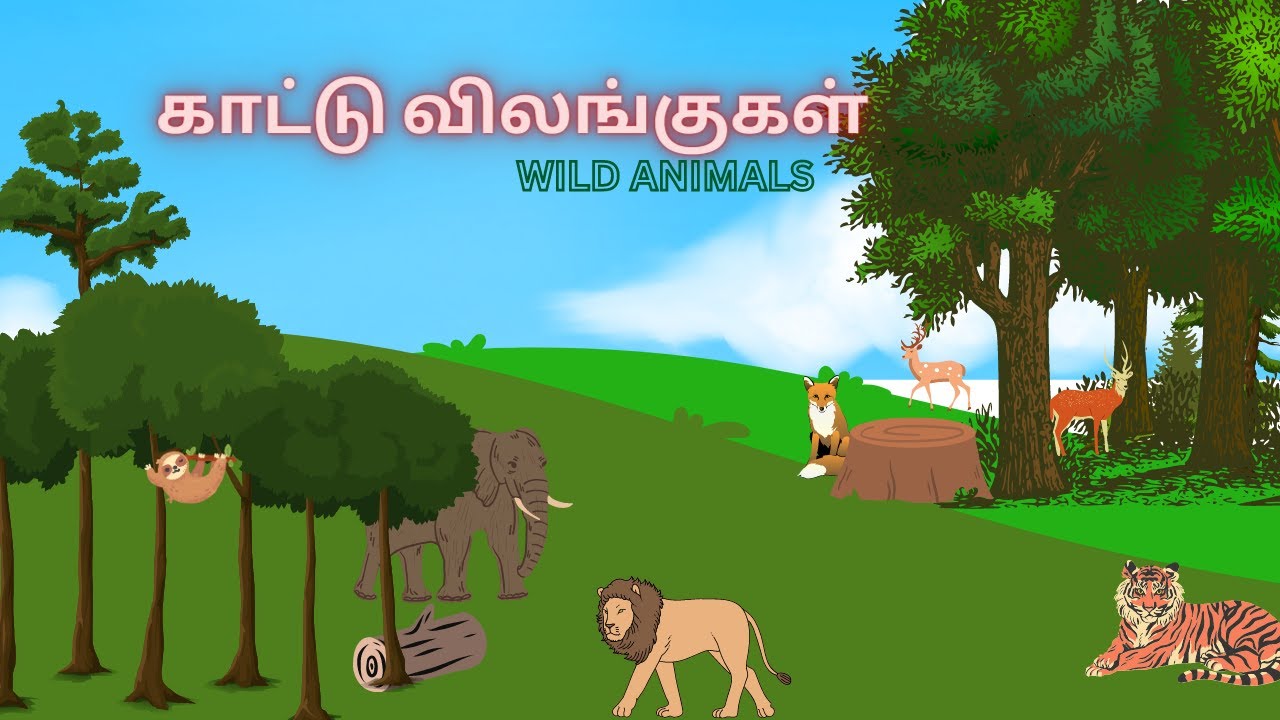 Kaattu Vilangugal |காட்டு விலங்குகள் | Wild Animals||CHELLA KUTTY ...