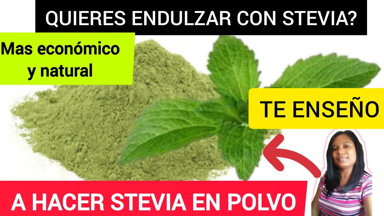 ASÍ HAGO STEVIA EN POLVO. FÁCIL Y ECONÓMICO (ALBA) - YouTube