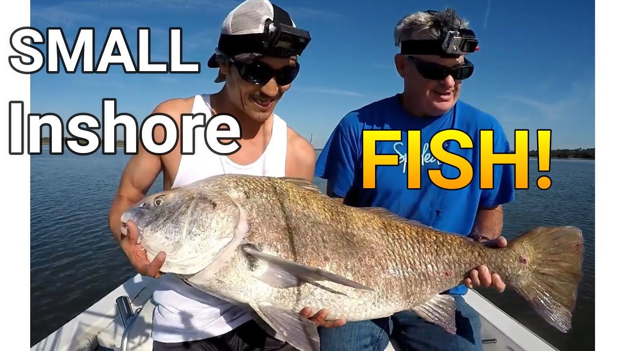 40 pound fish! BIG GIANT BLACK DRUM! Inshore Saltwater Fishing videos ...