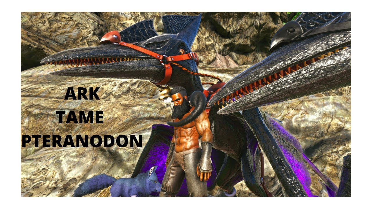 Ark Survival Evolved - How to Tame Pteranodon - The Island - YouTube