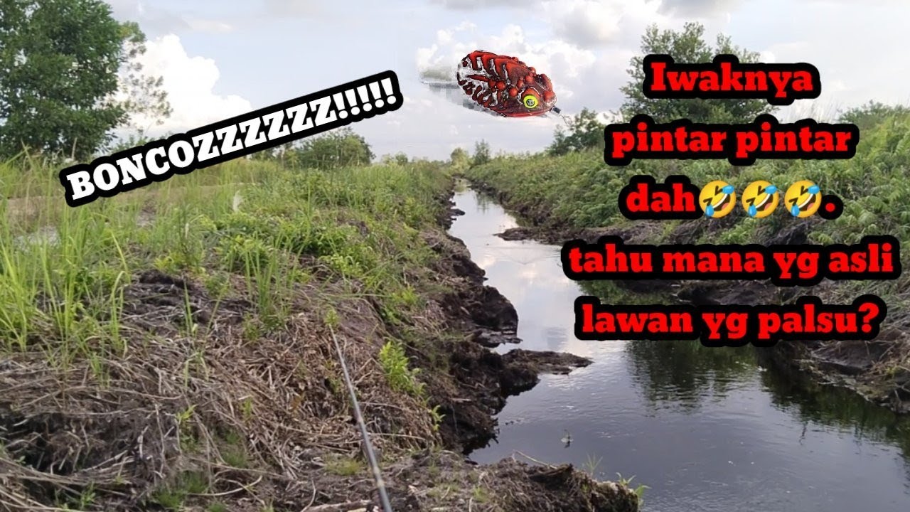 SPOT ELIT IKAN SULIT!! perdana mancing buat vidio al hasil boncos ...