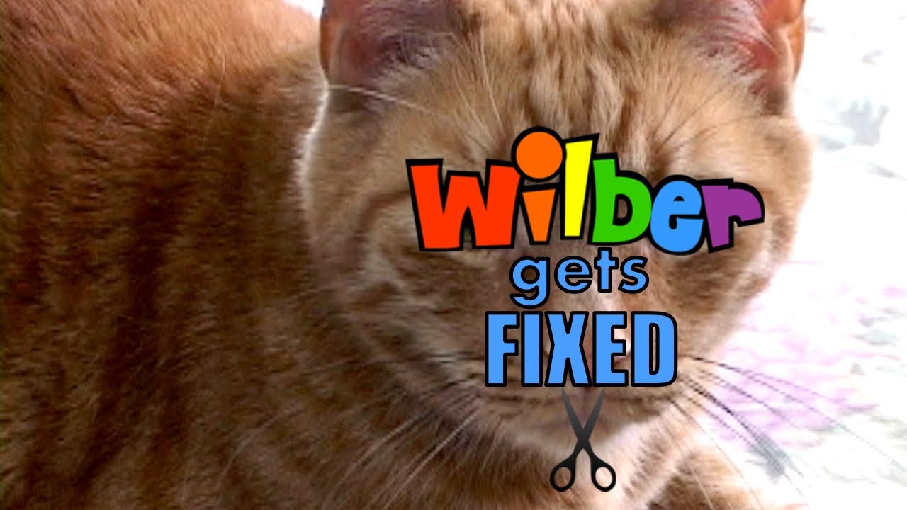 Wilber Gets Fixed - YouTube
