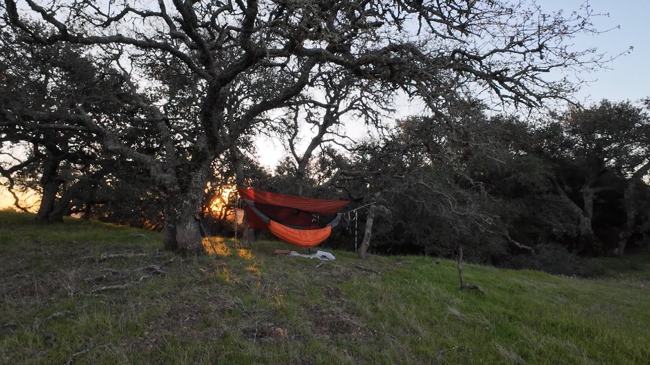 Early Spring Flowers | Hammock Camping and Bass Fishing with Barefoot ...