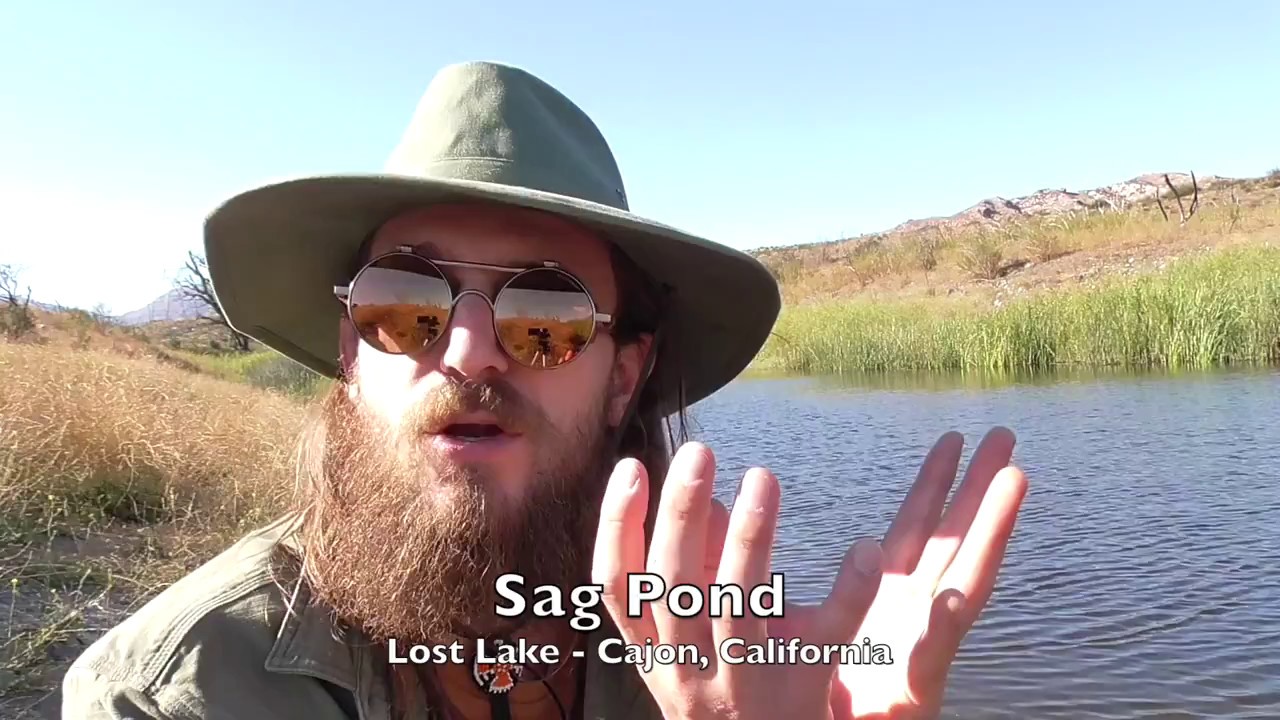 Sag Pond - Learning about Lost Lake - YouTube