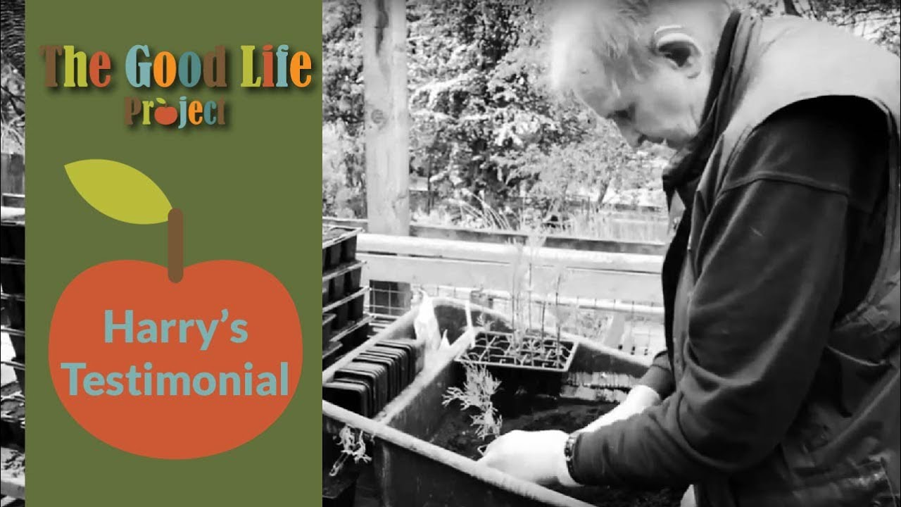 Harry's Testimonial │The Good Life Project - YouTube