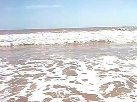 Bryan Beach Texas Land Based Bull Shark 2/2 - YouTube