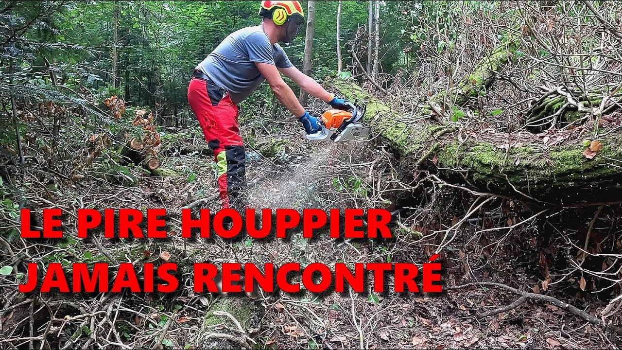 [EN MODE BUCHERON] LE PIRE HOUPPIER QUE J'AI JAMAIS RENCONTRÉ 🪓🌲🪚🌳 - YouTube