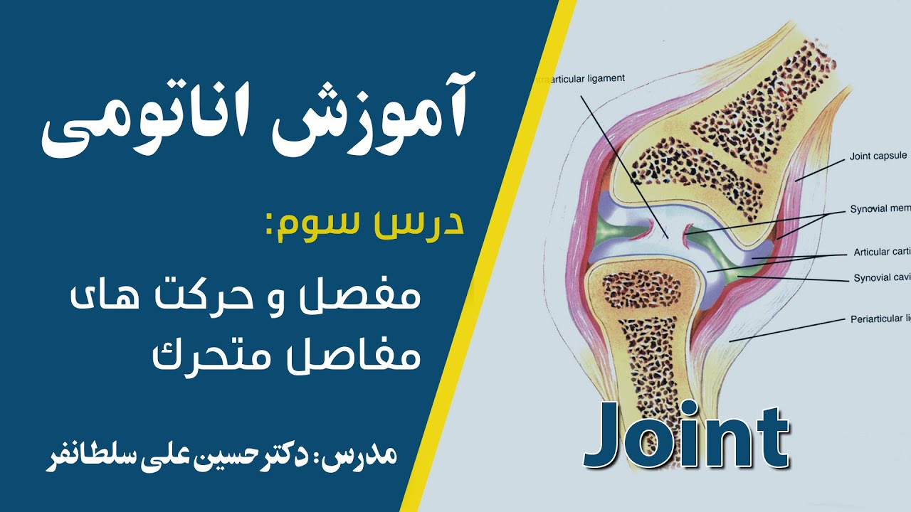 Joint and movements of mobile joints درس سوم: مفصل و حرکت های مفاصل ...