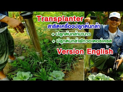 KAZE Transplanter Seeding or Bulb Planter เครื่องปลูกต้นกล้า | ป้อมซังเกษตรสร้างชีวิต (EP.28)
