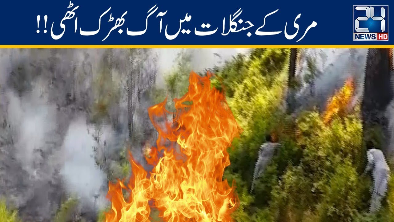 Massive Fire Erupts In Murree Hills Forest - YouTube