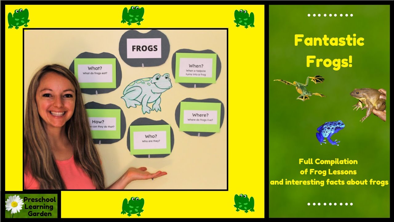 All About Frogs, Full Compilation of Frog Lessons and Fun Frog Facts ...