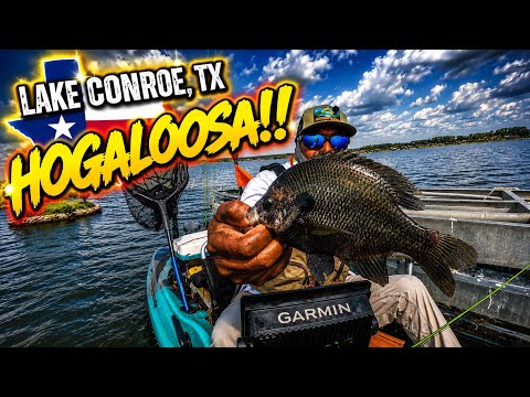 The Grass Ruined My Favorite Bluegill Hole!….So I Tried THIS Spot!