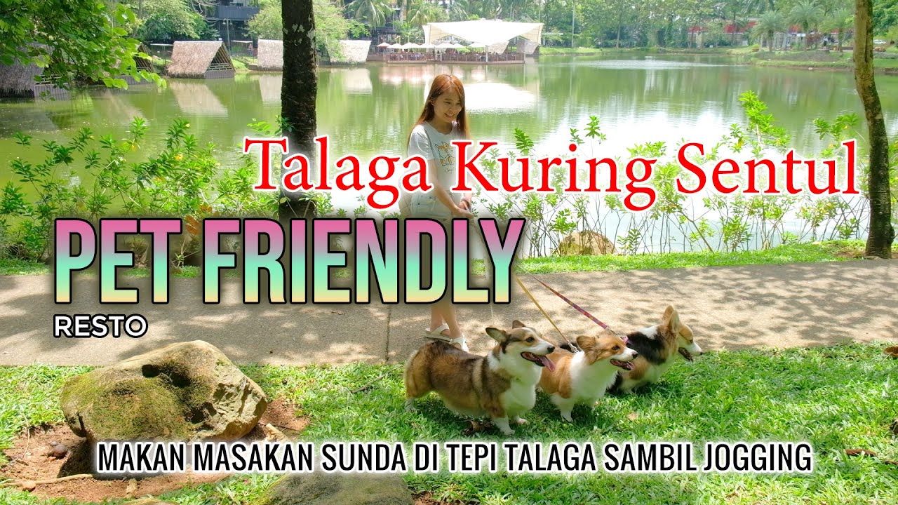 Makan MASAKAN SUNDA di TALAGA KURING SENTUL, view Pinggir DANAU ...