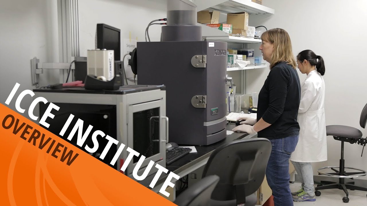 ICCE Institute | Overview - YouTube