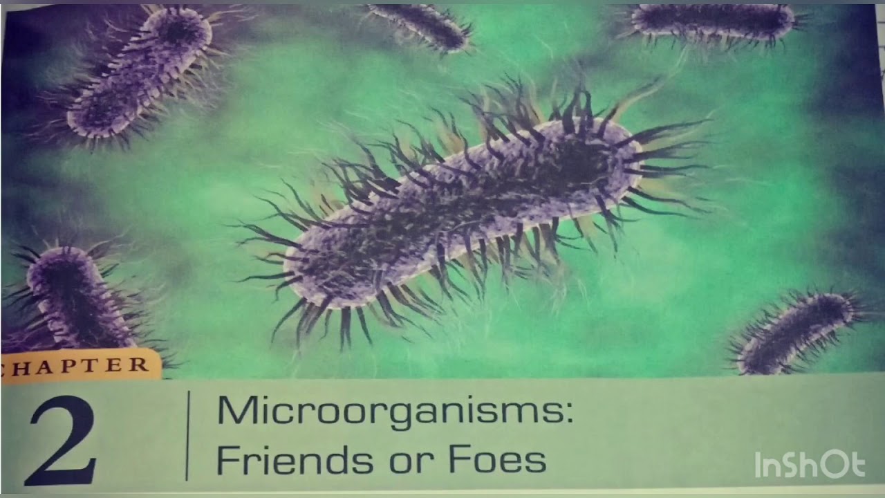 Microorganisms, Class-8, Part-3 - YouTube