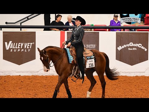 IEA Nationals 2023–JV Novice Horsemanship Individual Champion Pattern ...