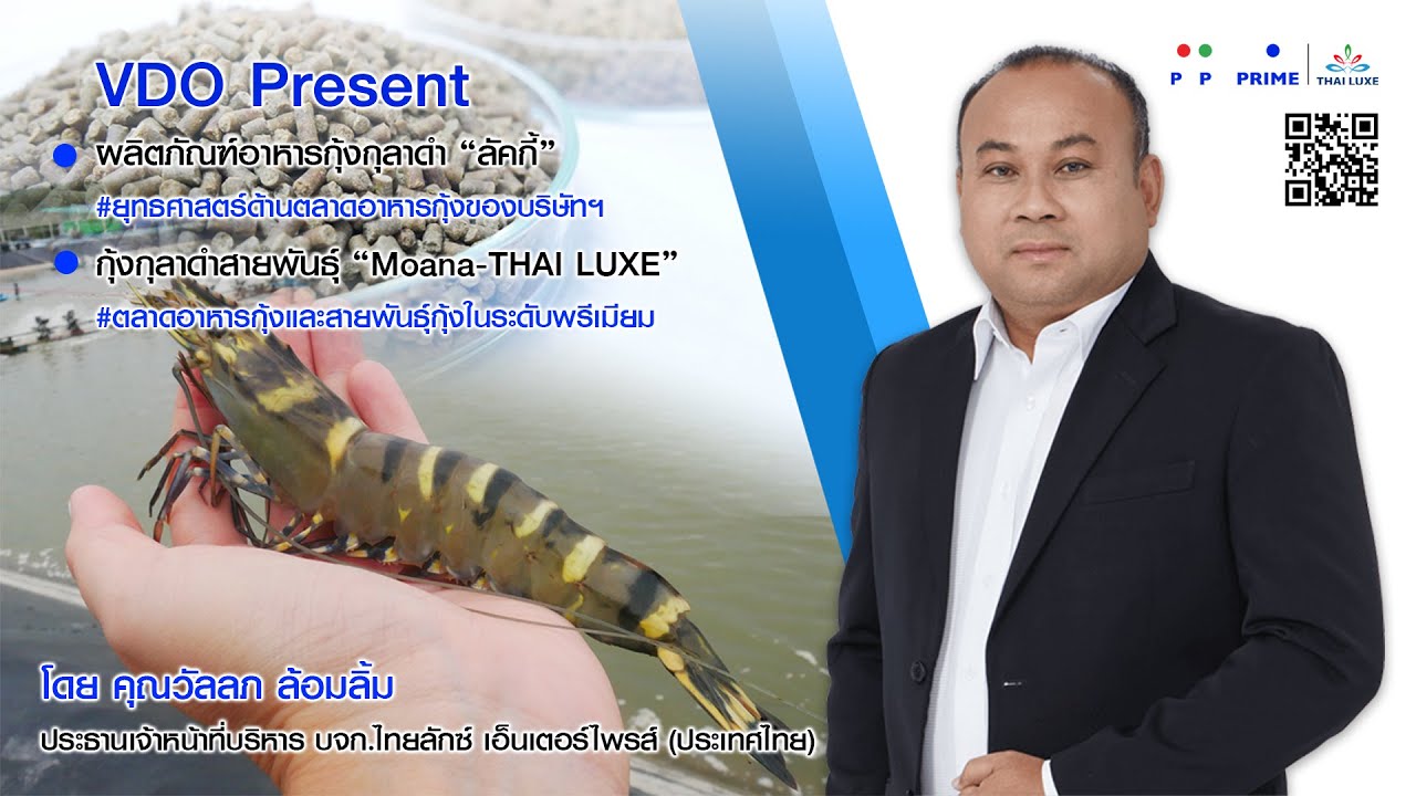 VDO Present by CEO THAI LUXE อาหารกุ้งกุลาดำลัคกี้ และ กุ้งกุลาดำสายพันธุ์ MOANA - YouTube